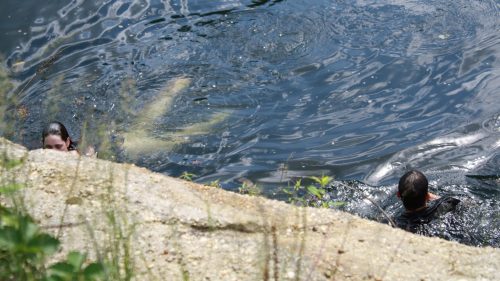 Nelson Ledges Quarry Park in Garrettsville: Clearest Lake in Ohio
