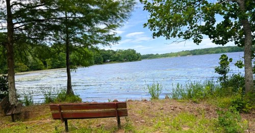 Why This Small-Town State Park in Alabama Is Worth a Visit