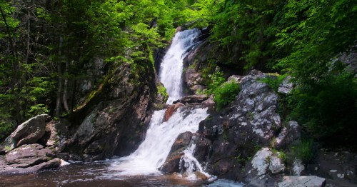 Why Campbell Falls State Park Is a Small-Town State Park in Connecticut ...