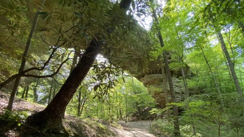 Why Big South Fork Is the Perfect Dupe for Red River Gorge